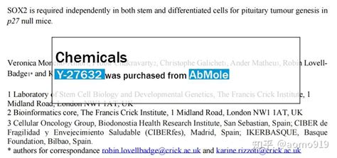Abmole科研 在p27缺失小鼠的垂体肿瘤发生中干细胞和分化细胞都需要sox2 知乎