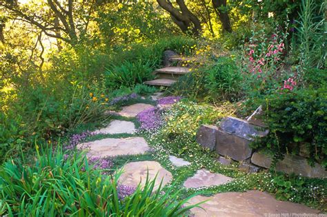 A Summer Dry Aesthetic Summer Dry Celebrate Plants In Summer Dry