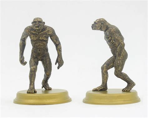 Ramapithecus Australopithecus Homo Habilis Homo 14644832683 Allegropl