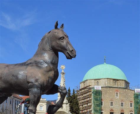 Az Igazság Az új Lóról Pecsmahu