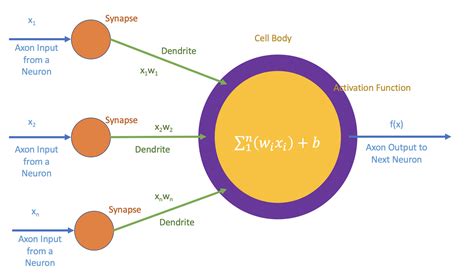 Do You Know We Can Approximate Any Continuous Function With A Single