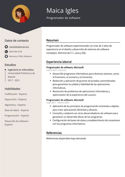 Ejemplos De Curriculum Vitae Programador De Software Plantilla Y 20 Consejos