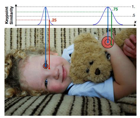 object keypoint similarity in keypoint detection