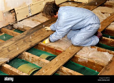 Woman Rockwool Installing Underfloor Insulation Over Netting On Suspended Timber Floor Stock