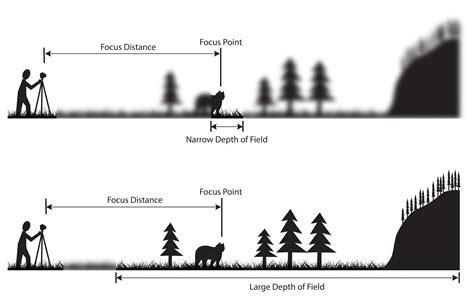 understanding depth of field a beginner s guide