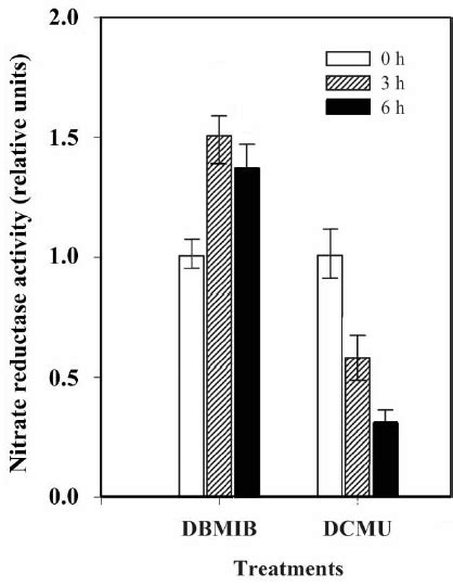 effect of dcmu and dbmib on nr activity of chlamydomonas reinhardtii