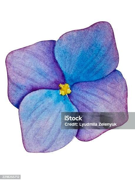 핑크 정원 꽃은 흰색 배경 수채화 그림에 고립되어 있습니다 핑크 꽃무늬 꽃다발 부르고뉴 모란 테두리 라일락 수국 프레임 화환 여름 디자인 청첩장 0명에 대한 스톡 벡터 아트