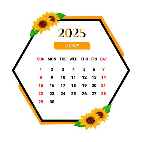 2025 June Calendar With Unique Flower Frame Vector Monthly Calendar Calendar June 2025 Png