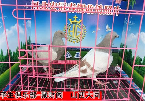 李生俱乐部 聚财阁1 zimgs