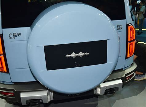 Equation Leopard 5 Photo