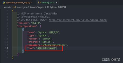 修改vscode运行python文件时，终端打开的默认地址 python cwd {filedirname} csdn博客