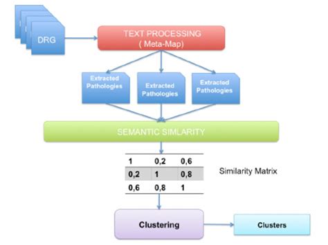 functional architecture data flow drgs are processed to extract download scientific diagram