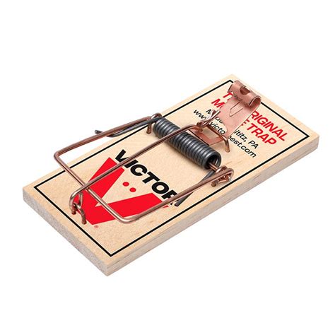 How Long Mouse Traps Take To Work Quick Results Explained