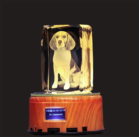 Transform Your Pets Image Into A Lasting Legacy With A Crystal Pet