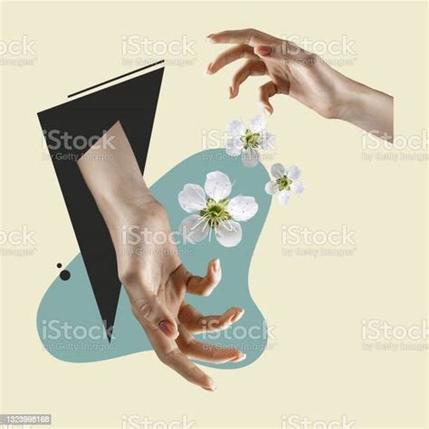 현대 미술 콜라주 현대적인 디자인 손의 미학 트렌디 한 파스텔 색상 광고 또는 텍스트의 복사 공간입니다 합성사진에 대한 스톡