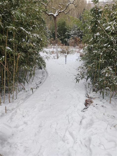 Mybatis Plus（一）：根据指定字段更新或插入 知乎