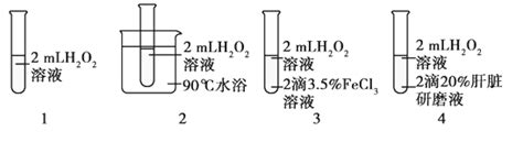 [题目]如图是“比较过氧化氢在不同条件下的分解 实验 下列有关叙述正确的是 A 本实验的因变量是不同的催化剂b 本实验的无关变量有温度和酶的用量等c 1号与3号 1号与4号可分别构成对照实验d
