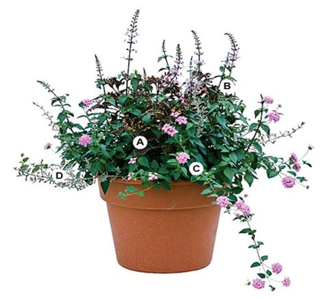 Градински контейнери за ценители Български Фермер