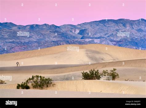 Photographer At Mesquite Flat Sand Dunes Creosote Bush Cottonwood