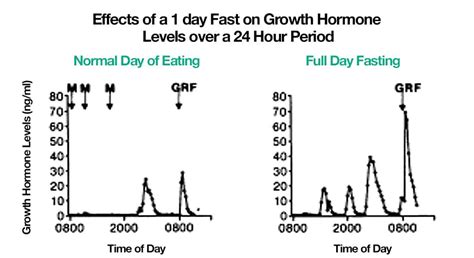 Intermittent Fasting The Definitive Guide 2025 Bodyketosis