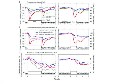 Photoreceptor Directed And Combined Pupil Light Responses Plr A