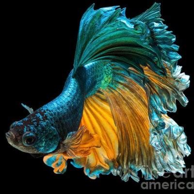 NVIDIA Magnum IO GPUDirect With Computational Storage ScaleFlux