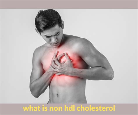 Why High Non HDL Cholesterol Is A Health Concern Parab Estate