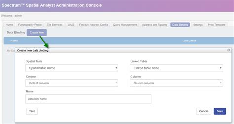 Using Databinding In Spectrum Spatial Analyst