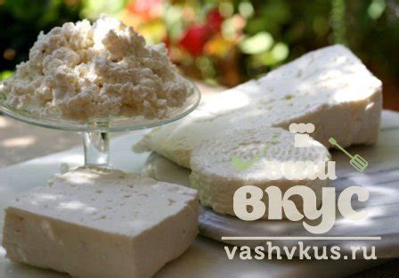 Сыр Сиртаки. Калорийность, польза и вред - ВашВкус