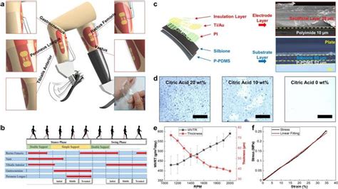 Revolutionary Robotic Prosthetic Leg Control Technology Unveiled By Research Team Bollspel