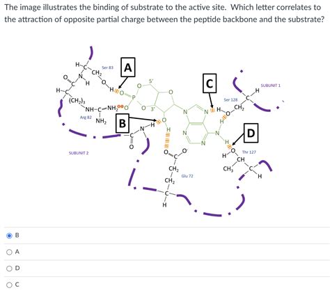 Solved The Image Illustrates The Binding Of Substrate To The