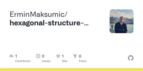 Github Erminmaksumic Hexagonal Structure Lambda Stocks
