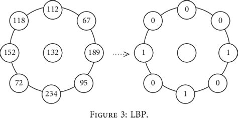 Figure 1 From A Novel Algorithm For Breast Mass Classification In Digital Mammography Based On