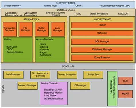 Sql Server Thallita Celeste