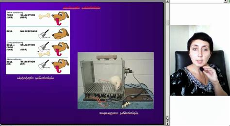 მეხსიერების სხვადასხვა სახეები და მათი უჯრედული და მოლეკულური მექანიზმები ლექცია2 ნაწილი1 ეკ