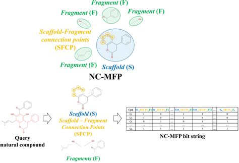 The Schematic Diagram For The Nc Mfp Concept Is Illustrated The Download Scientific Diagram