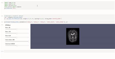 VtkJS Extension Of D Data Viewer Issue Holoviz Panel GitHub