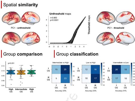 Figure 5 From Indirect Functional Connectivity Does Not Predict Overall Survival In Glioblastoma