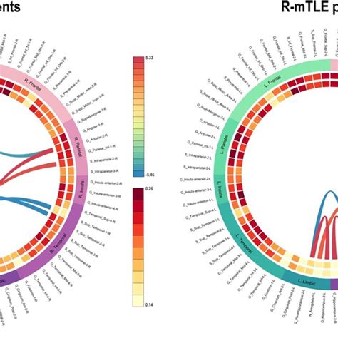 Connectogram Of Significant Pairwise Functional Connectivity Fc Download Scientific Diagram