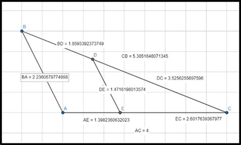 In This Activity You Will Be Using A Dynamic Geometry Packa Quizlet