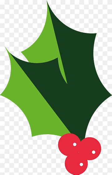 호랑가시 Png 이미지 Pngwing