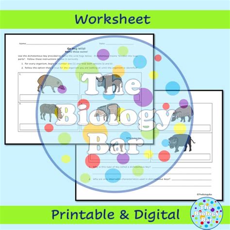 Wild Hog Dichotomous Key Taxonomy Classification Activity By The