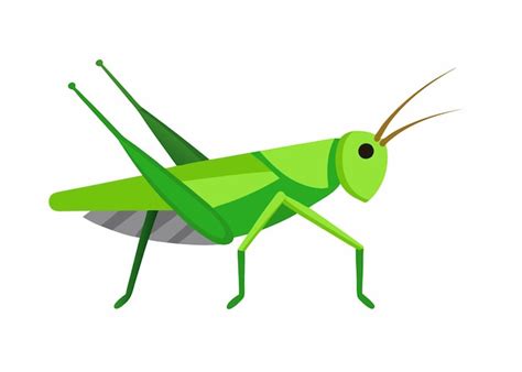 Grasshopper Vector Art On White Background Premium Ai Generated Vector