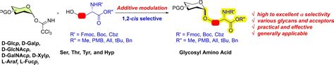Stereoselective Synthesis Of 1 2‐cis O‐linked Glycosyl Amino Acids Via Additive‐modulation For
