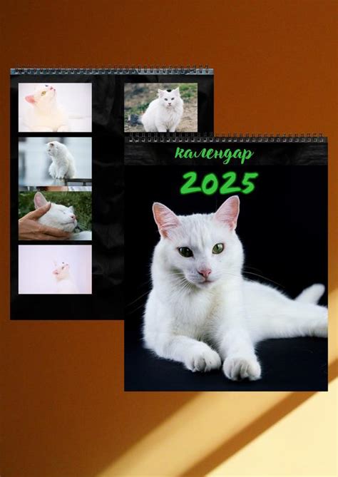 Календар настінний перекидний білі коти 2025 а4 — ціна 150 грн у каталозі Календарі Купити
