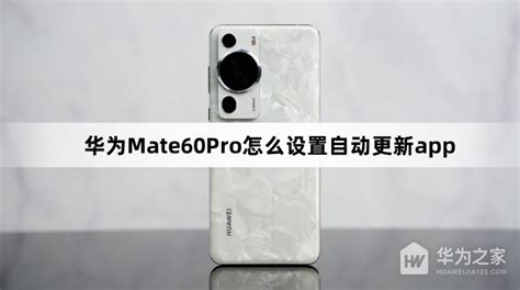 华为Mate60Pro怎么设置自动更新app 华为Mate60Pro设置自动更新app教程介绍 华为之家