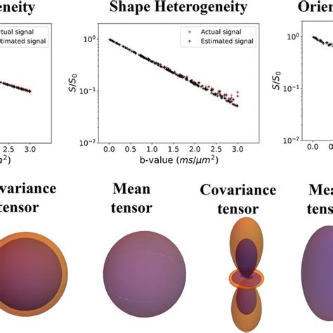 Estimation Of Mean And Covariance Tensors From Synthetic Mr Signal