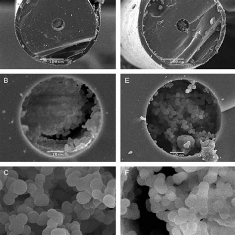 Pdf New Silica Gel Based Monolithic Column For Nano Liquid Chromatography Used In The Hilic Mode
