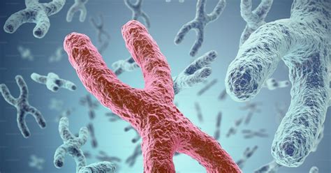 X 염색체 중앙의 빨간색 감염 돌연변이 질병의 개념 초점 효과 3d 그림 사진 Unsplash의 확대 이미지