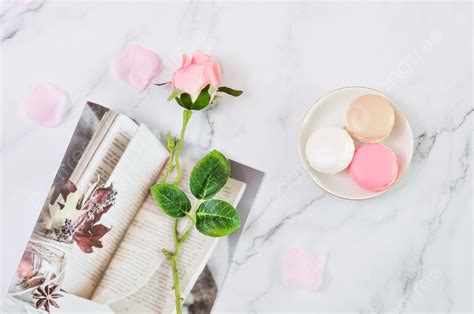 대리석 테이블 상판 배경 일러스트 대리석 테이블 상판 사진 벡터 및 Psd 파일 무료 다운로드 Pngtree